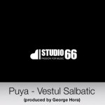Puya - Vestul Salbatic - T-Spot - Creating together...